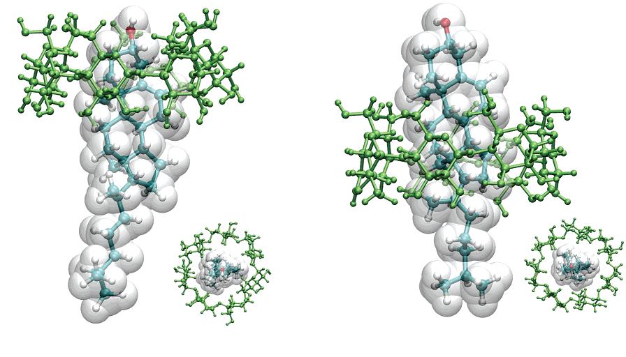 La leche de Gandalf y la inmovilización química del colesterol | SCIENTIA